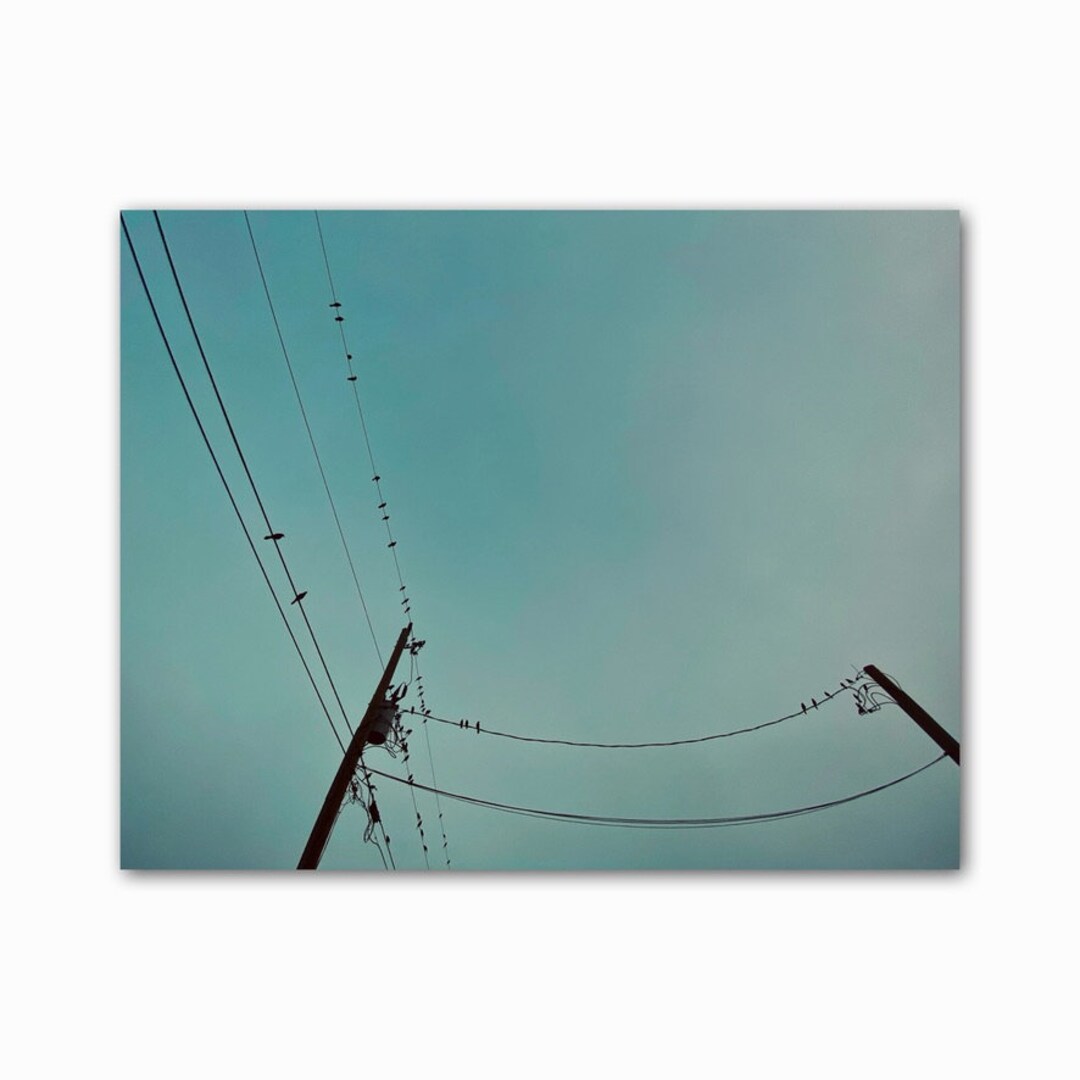 Powerlines and Birds Digital Download Print, Birds Sky Wall Art Decor ...