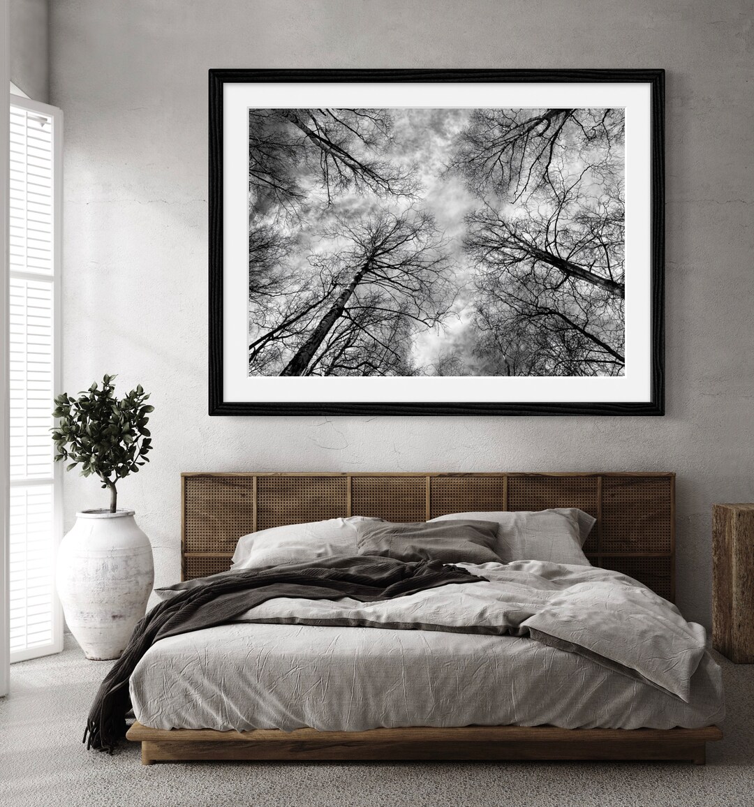 Magical Clouds Sky Birch Tree Art, Tree Sky Wall Art Decor, Black White ...