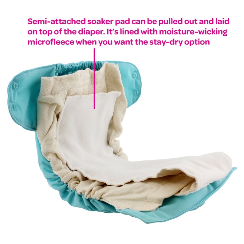 Organic One Size AIO Diaper-whale of a Tail - Etsy