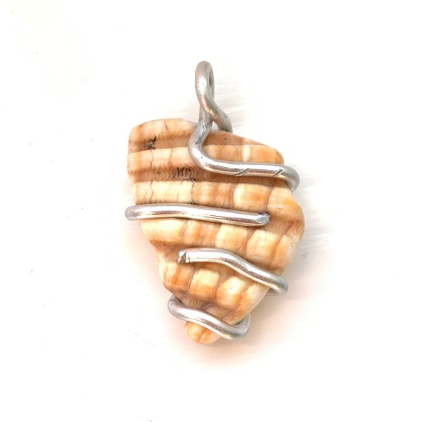 Sea Shell Wire Wrap - Etsy