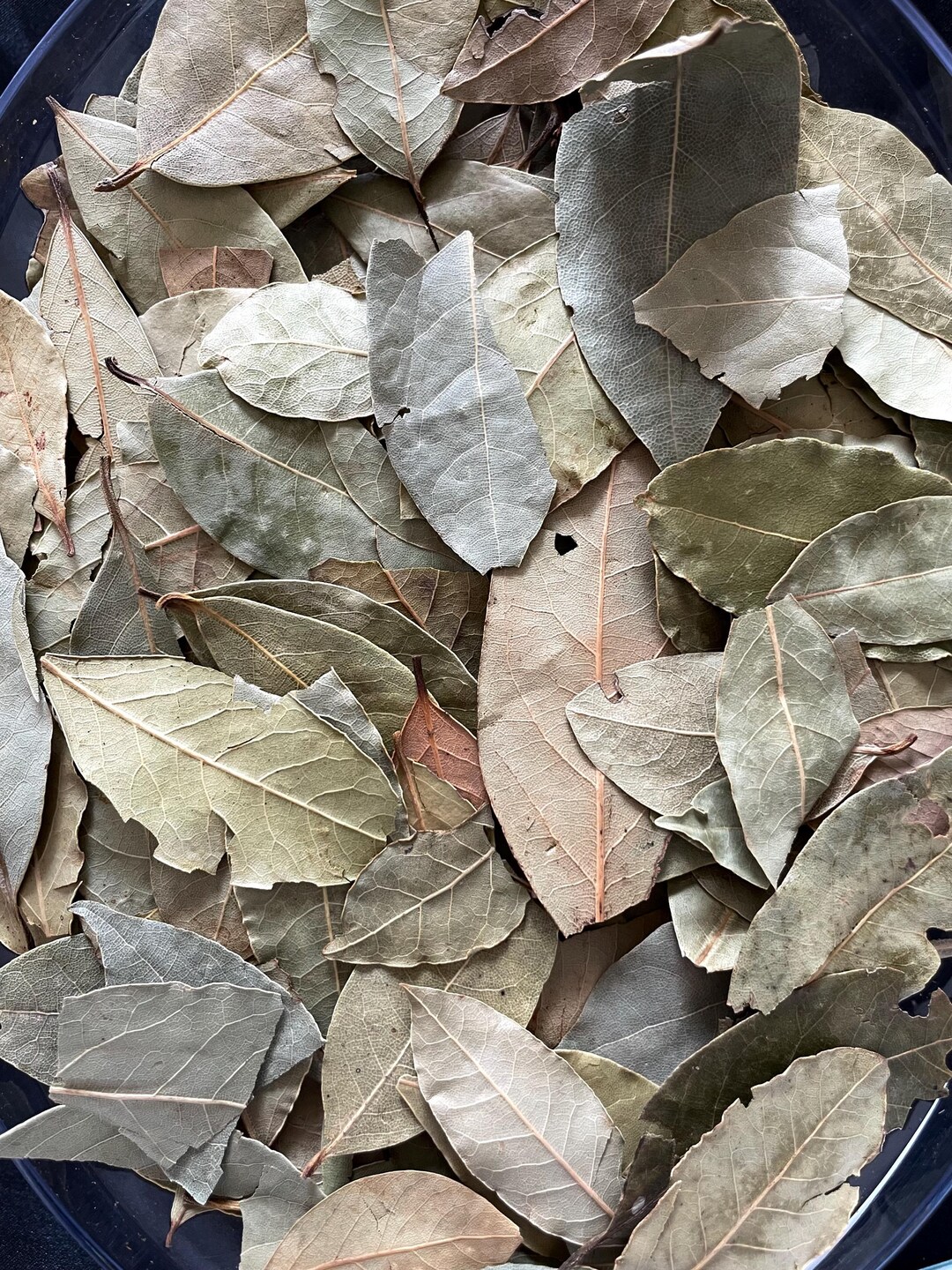 Bay Laurel Leaves for Witchcraft and Protection Spells - Herbal ...