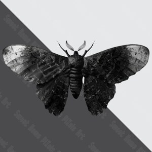 Moths Cut-out Clip Art VOL 2, 30 PNG ( 300 DPI )files to Use, Junk ...