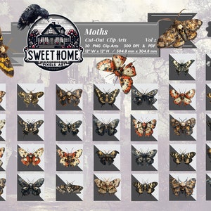 Moths Cut-out Clip Art VOL 2, 30 PNG ( 300 DPI )files to Use, Junk ...