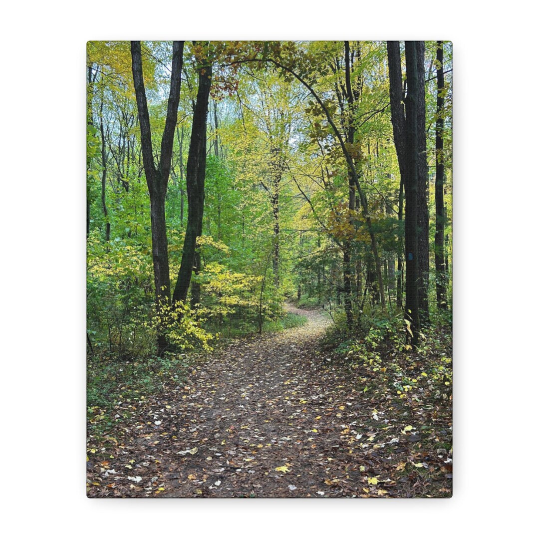 Forest Path Canvas Print, Wall Art, Nature Decor, Green Forest Scene ...