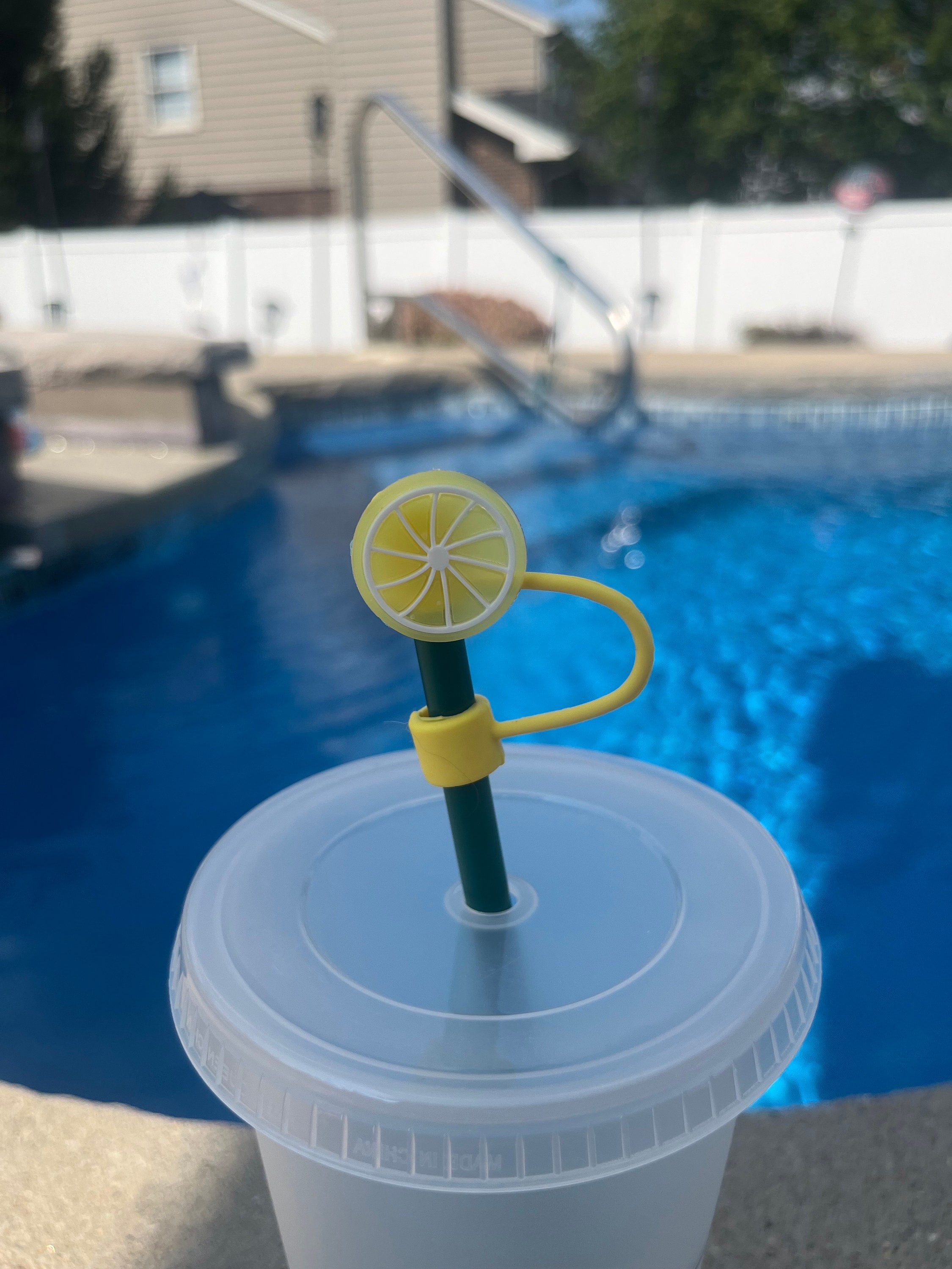 Fruit Straw Toppers | Straw Toppers | Fruit | Strawberry | Watermelon ...