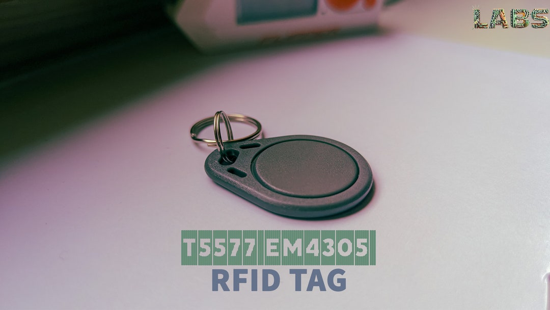 T5577 Writable RFID Tags for Flipper Zero Grey - Etsy