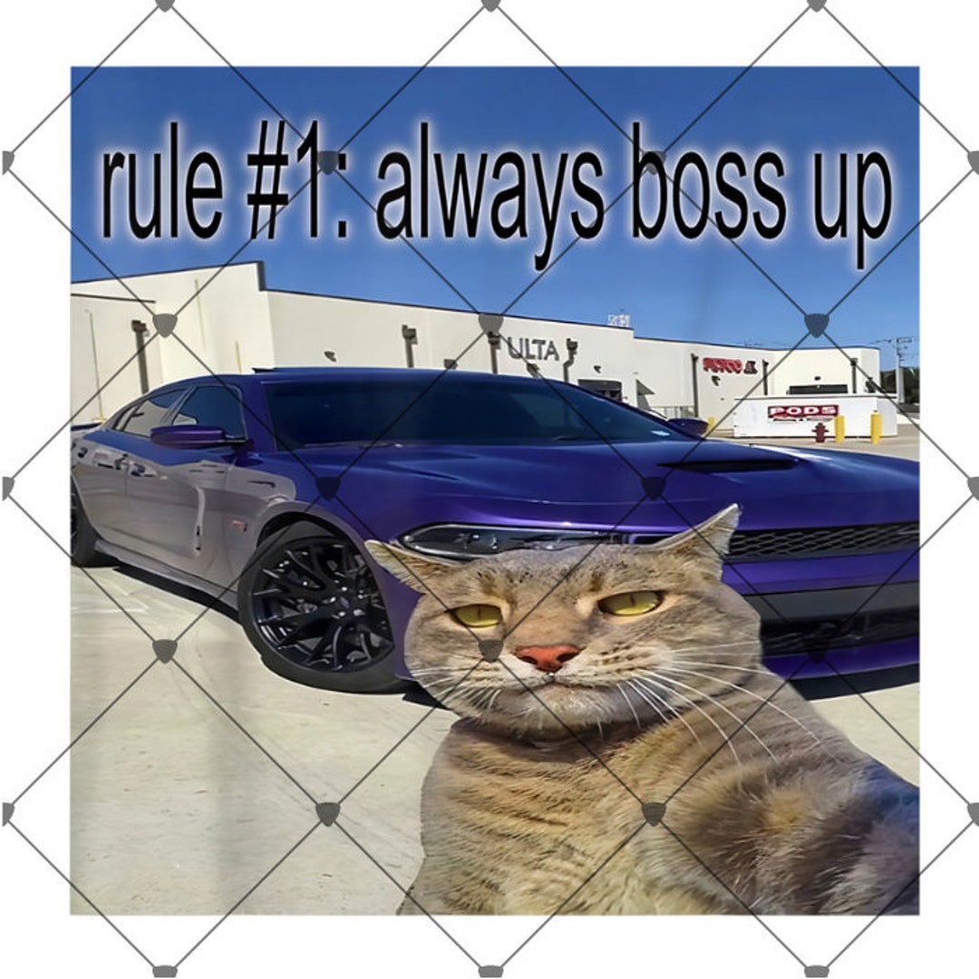 Regel Nr. 1 Always Boss Up Funny Cat Meme PNG SVG-Dateien, Sofortiger ...