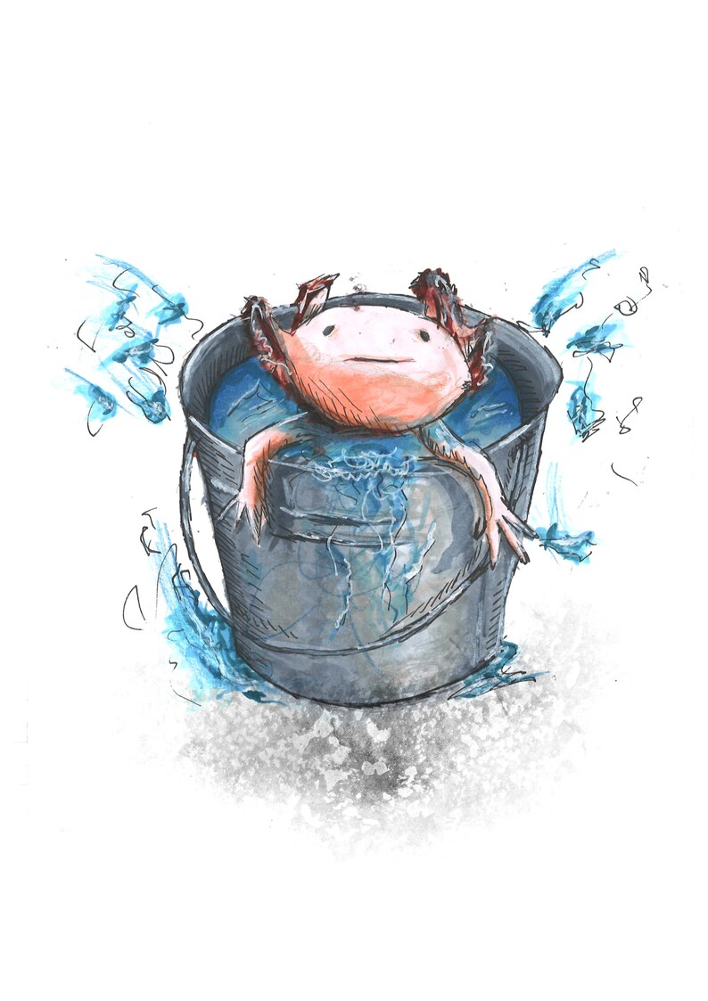 Minecraft, Bucket of Axolotl Artwork Traditional Art Print A4 High ...