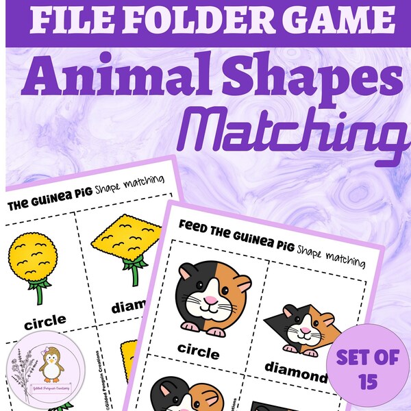 File Folder Game - Etsy