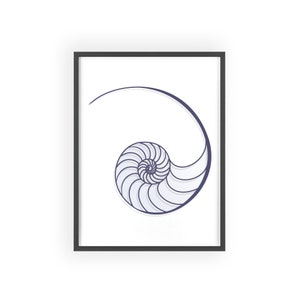 Nautilus Shell Outline | Framed Photopaper Poster Print - Etsy