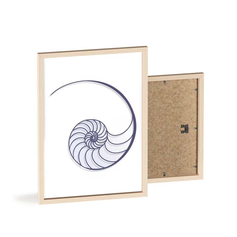 Nautilus Shell Outline | Framed Photopaper Poster Print - Etsy