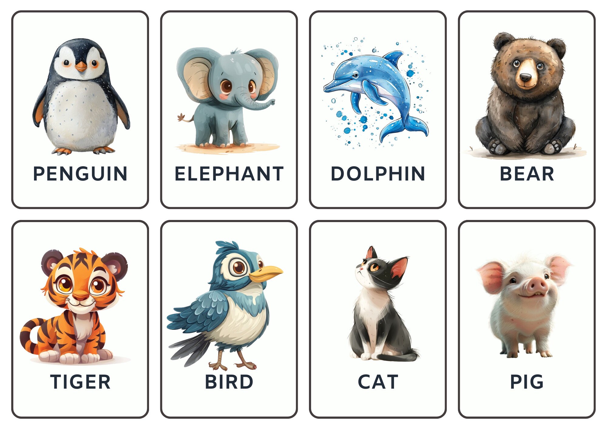 Animal Flash Card English Education - Etsy