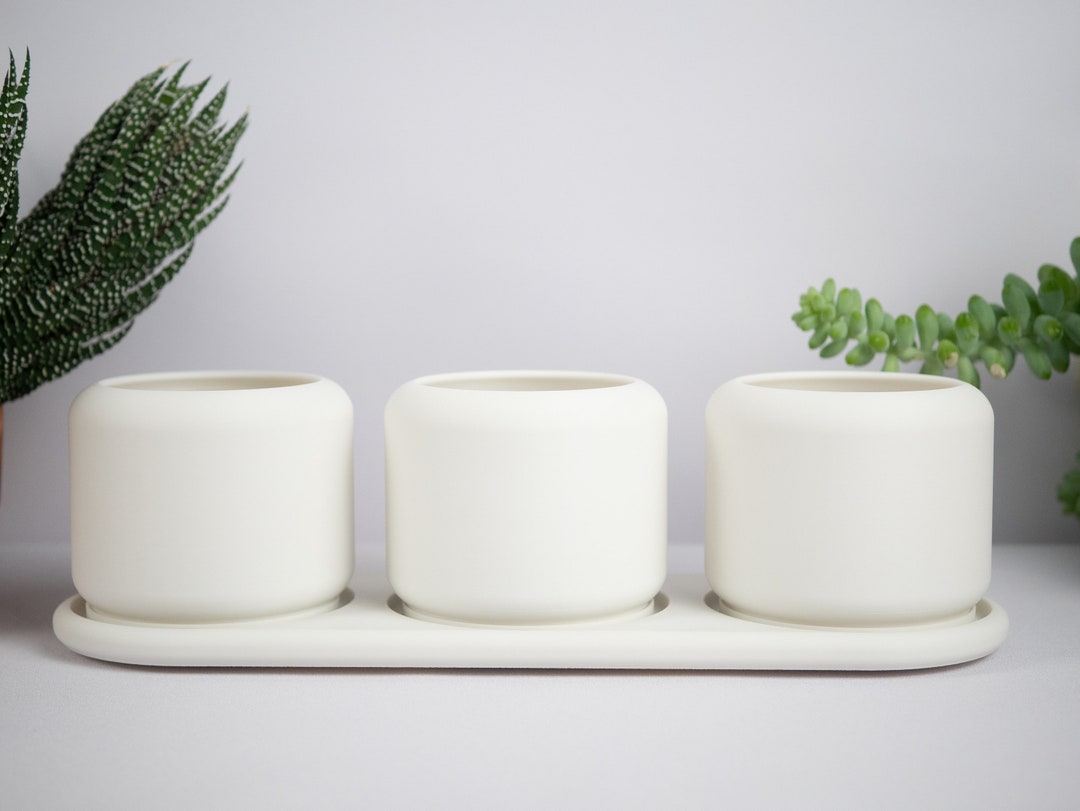 Trio Planter - Customized 3" Pots for Succulents - Three Planters With ...