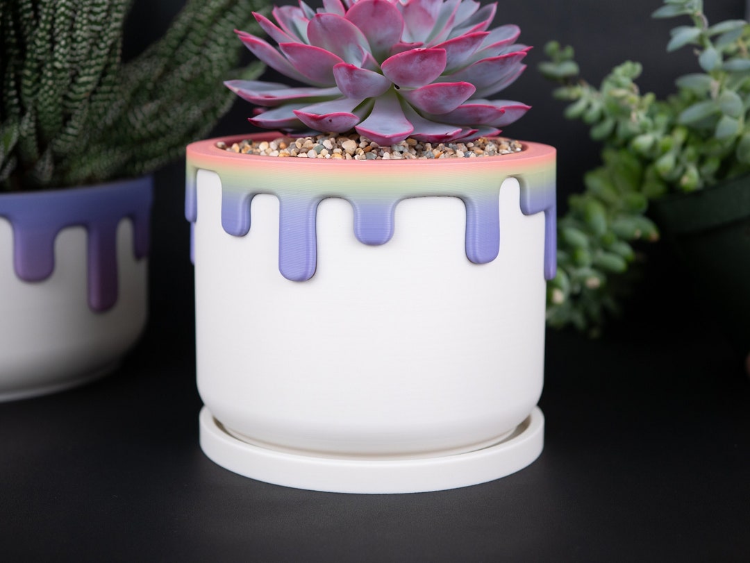 Drippy - Rainbow Planter 3-5 Inch With Drainage and Drip Tray (white ...