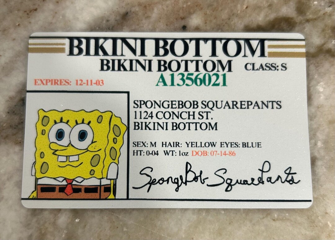 Spongebob License - Etsy