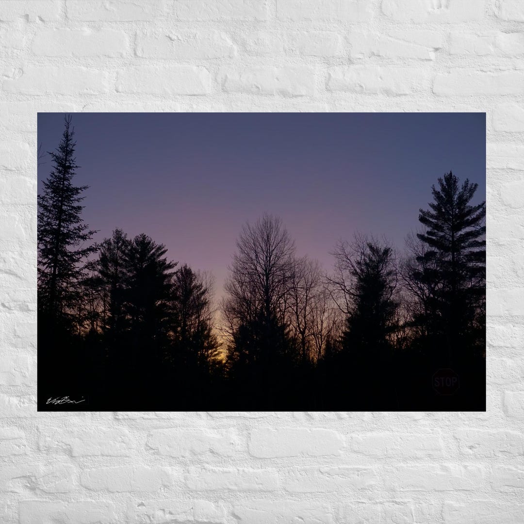 Tree Silhouette Wall Art, Tree Minimalist Print, Silhouette Trees - Etsy