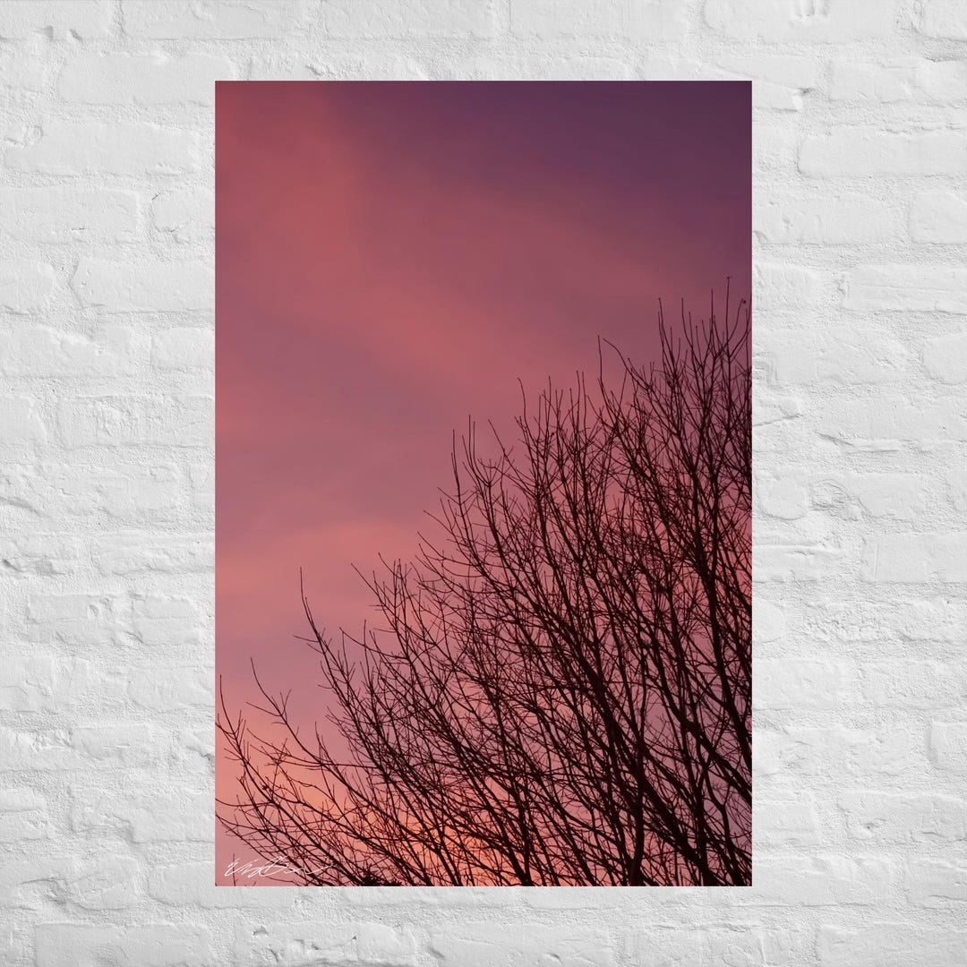 Sunset Poster, Pink Sunset Wall Art, Tree Photography, Pink Sky Canvas ...