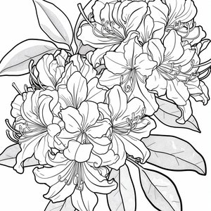 50 Printable State Flower Color Worksheets for Adults and Kids/coloring ...