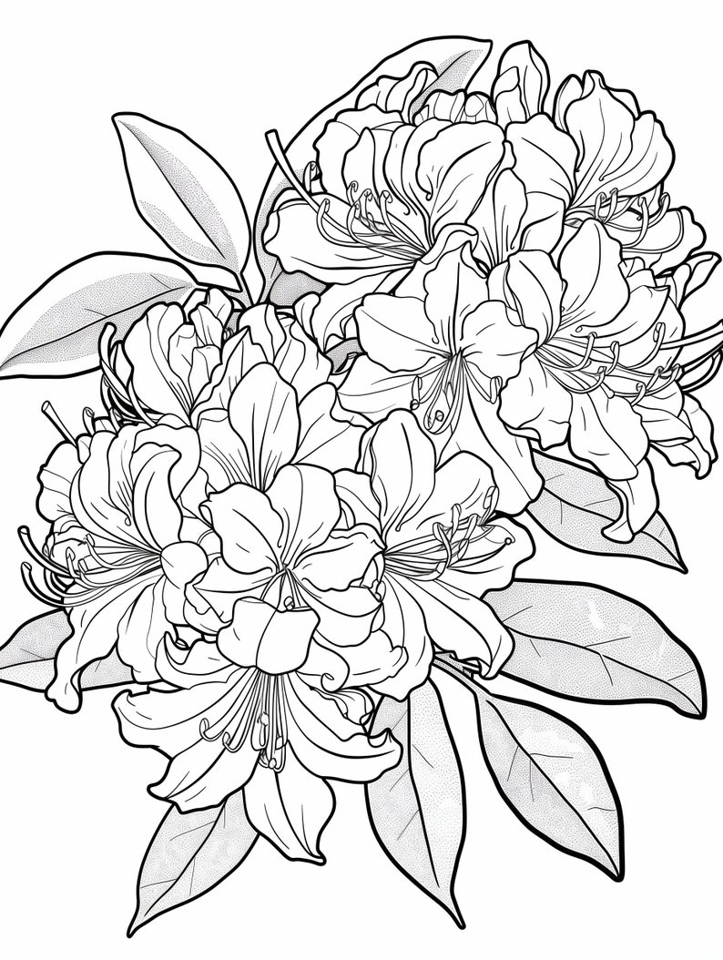 50 Printable State Flower Color Worksheets for Adults and Kids/coloring ...