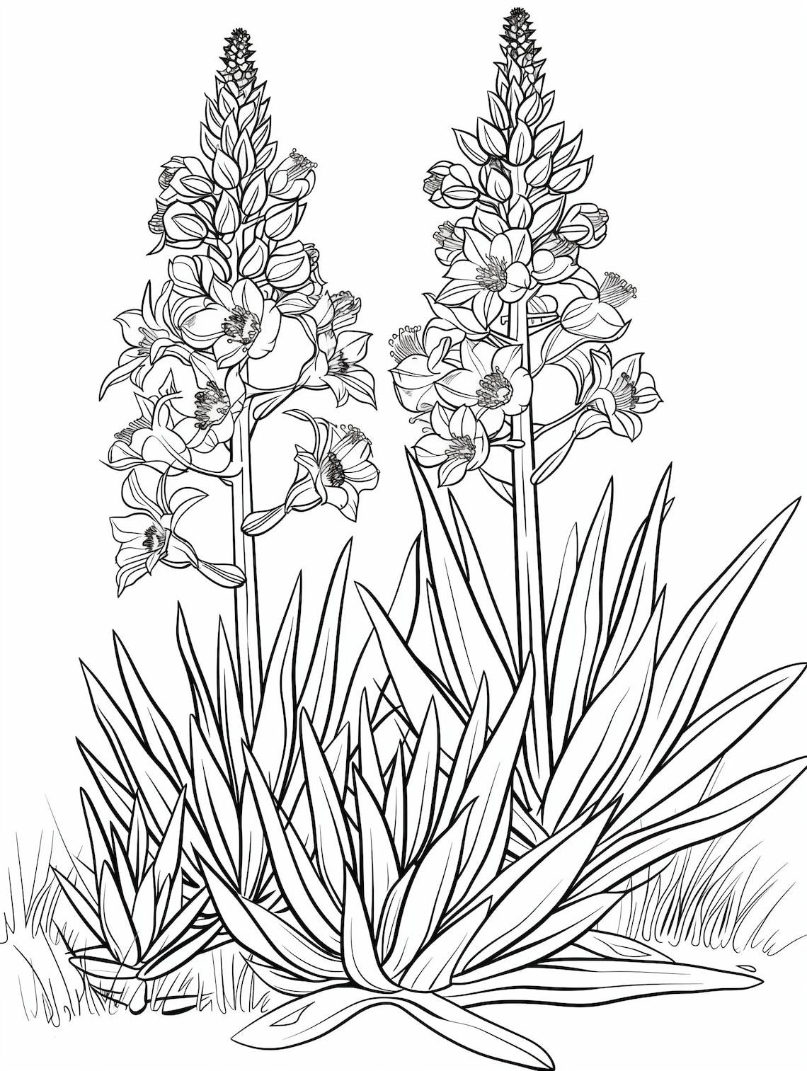 50 Printable State Flower Color Worksheets for Adults and Kids/coloring ...