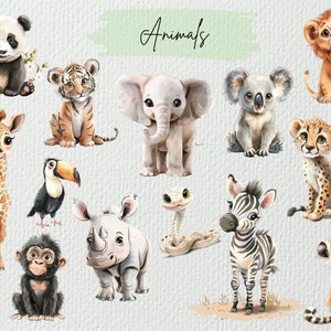 Baby Jungle Animals Clipart | Watercolor Jungle Clip Art Bundle ...