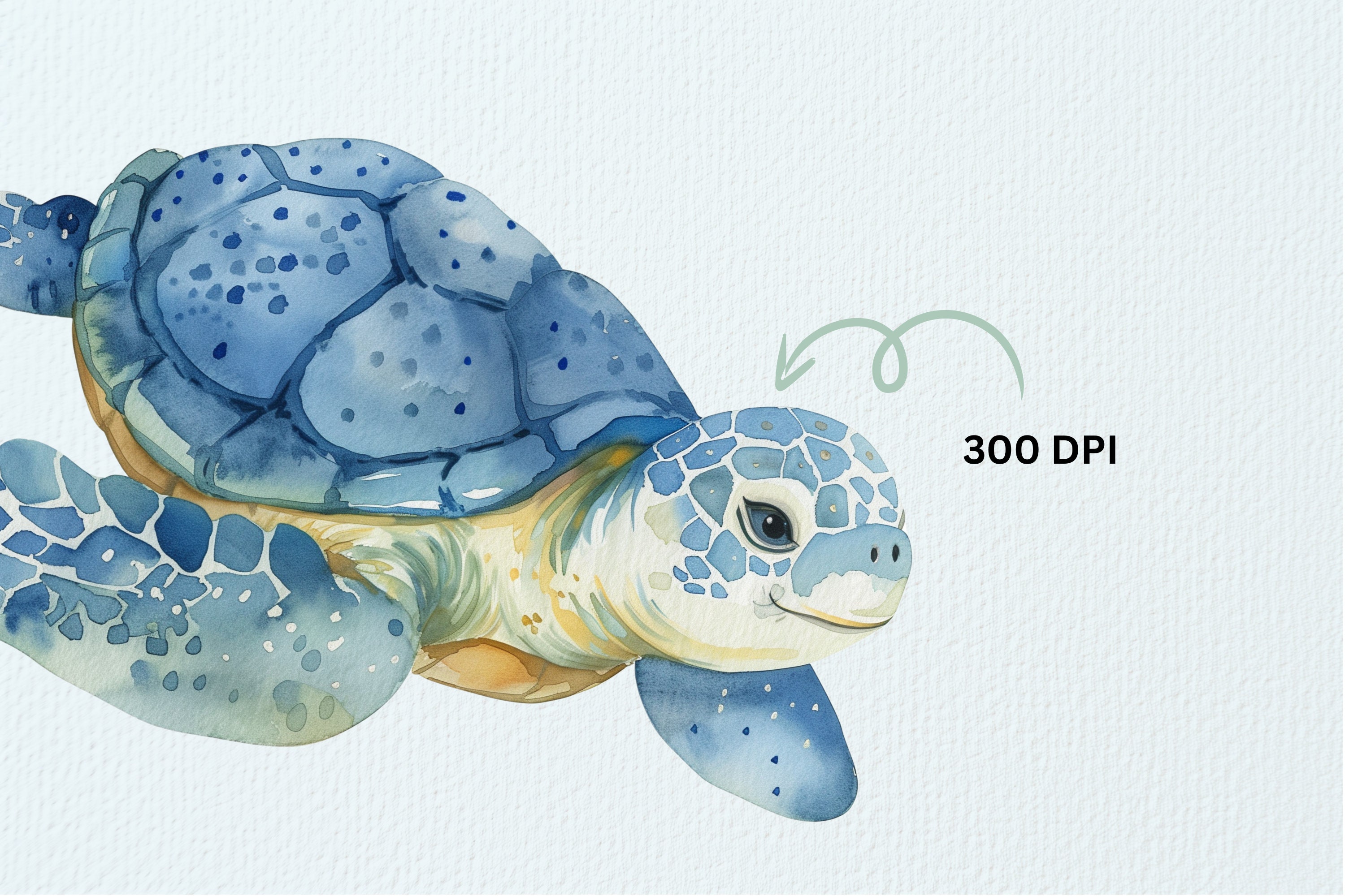 Watercolor Underwater Clipart Bundle Cute Ocean Animals PNG Under the ...