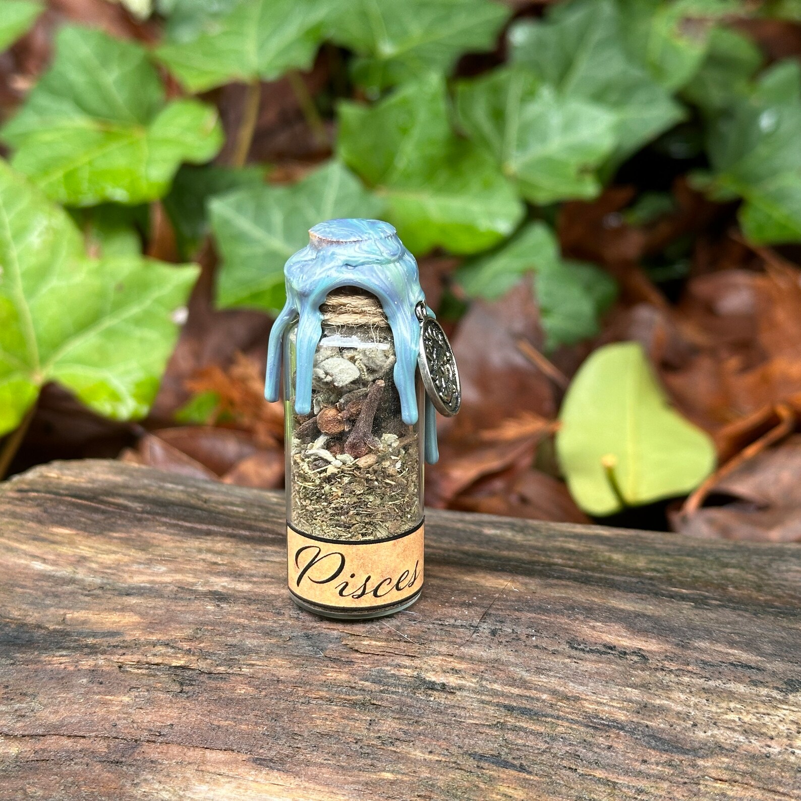 PISCES Spell Jar Zodiac Signs Spell Jar Altar Magic Decor Witchcraft ...