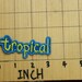 Tropical Patch, Word Patch, Iron on Patch, Embroidered Patch, Applique ...