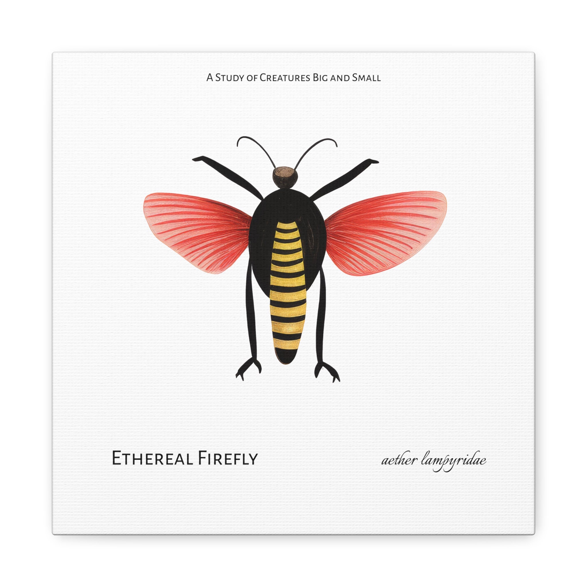 Ethereal Firefly (aether Lampyridae) "a Study of Creatures Big and ...