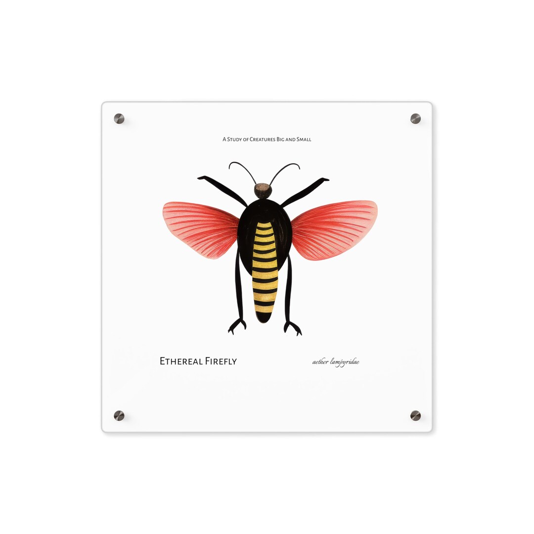 Ethereal Firefly (aether Lampyridae) "a Study of Creatures Big and ...