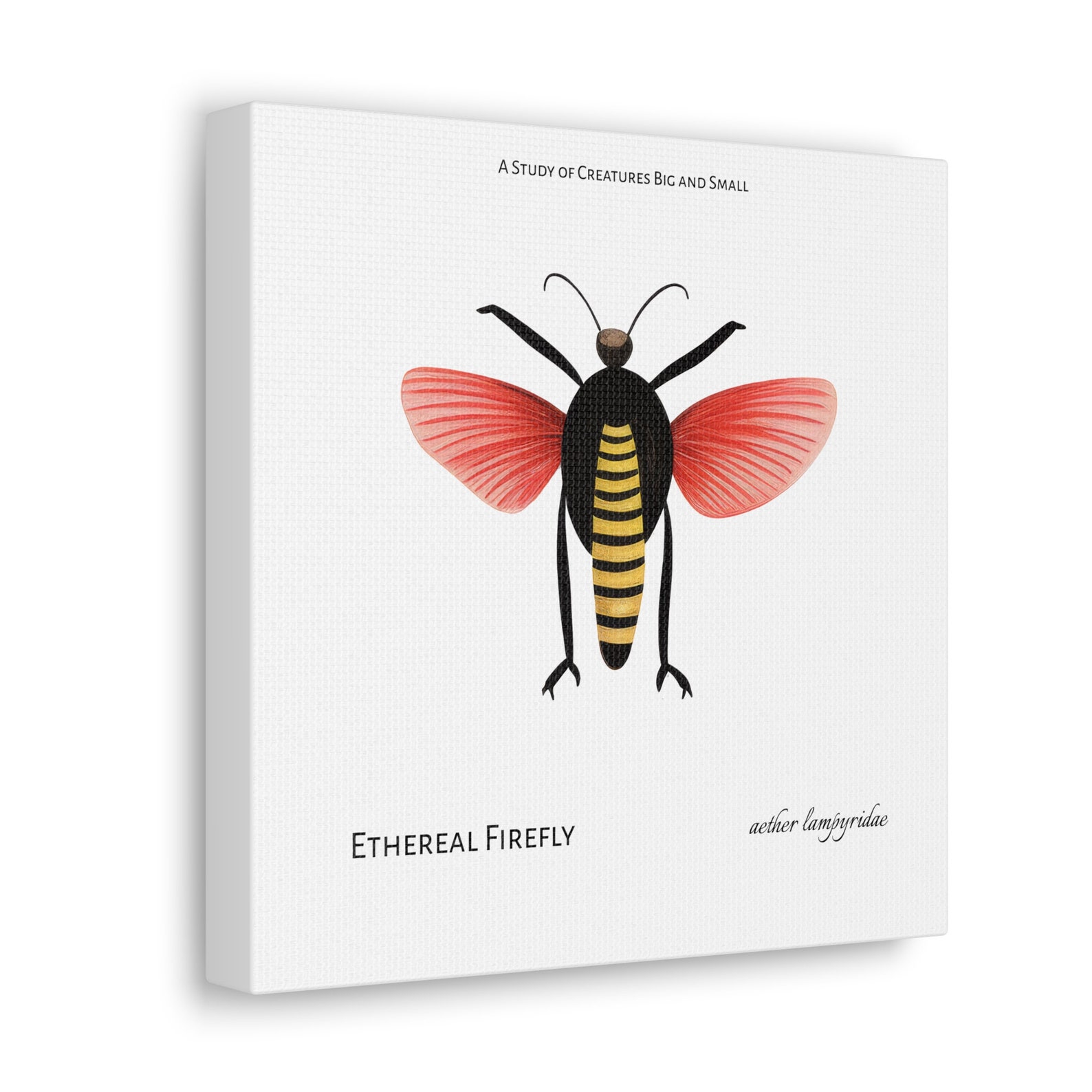 Ethereal Firefly (aether Lampyridae) "a Study of Creatures Big and ...
