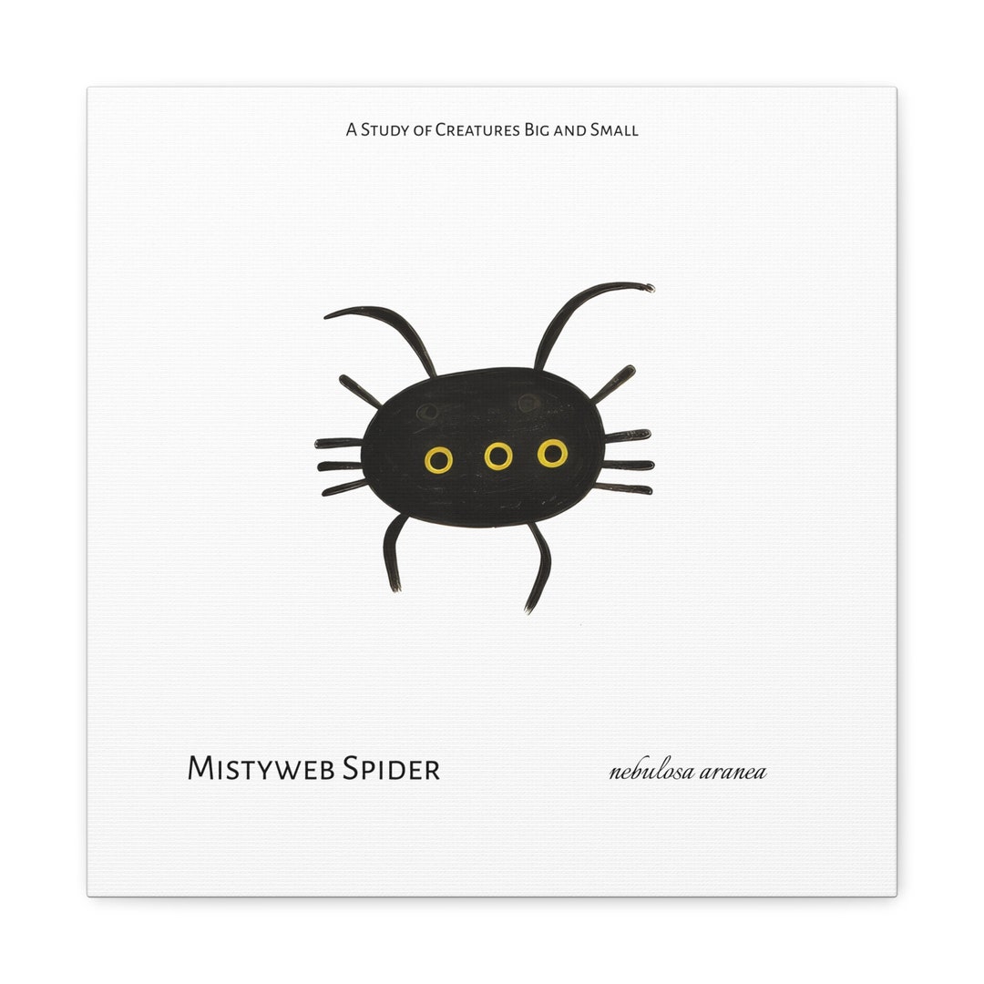 Mistyweb Spider (nebulosa Aranea) "a Study of Creatures Big and Small ...