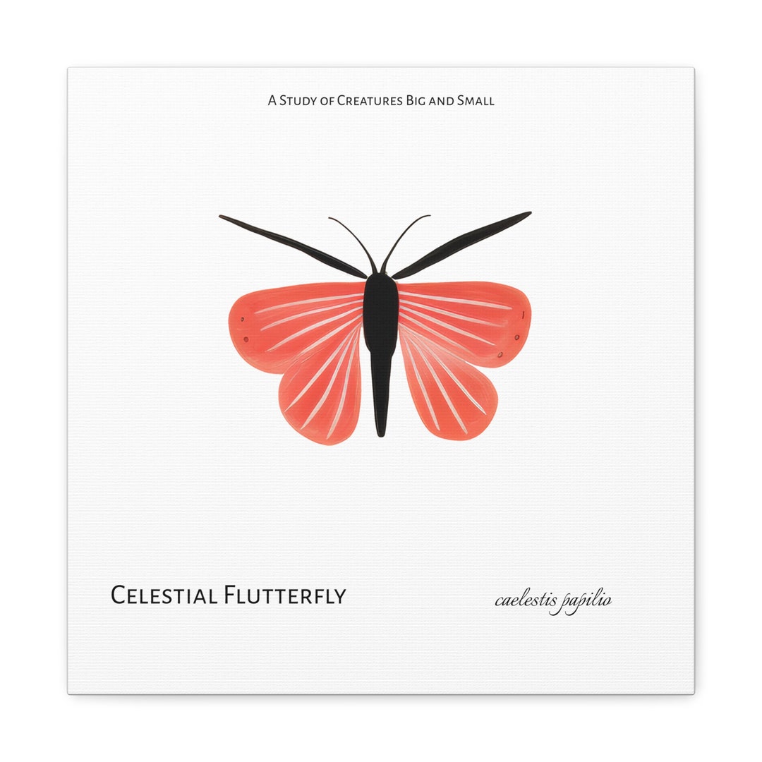 Celestial Flutterfly caelestis Papilio a Study of Creatures Big and ...