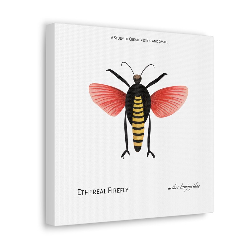 Ethereal Firefly (aether Lampyridae) "a Study of Creatures Big and ...