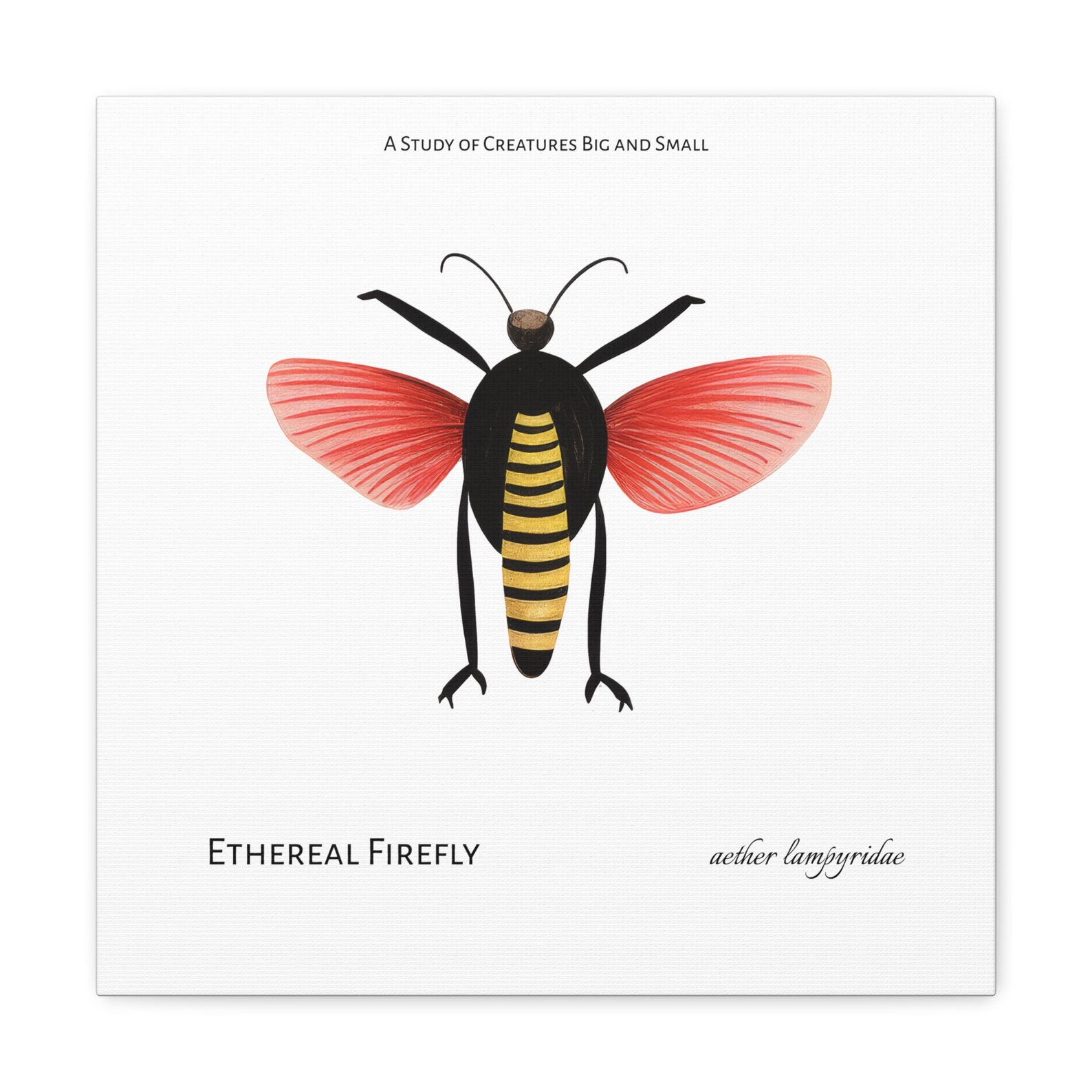 Ethereal Firefly (aether Lampyridae) "a Study of Creatures Big and ...