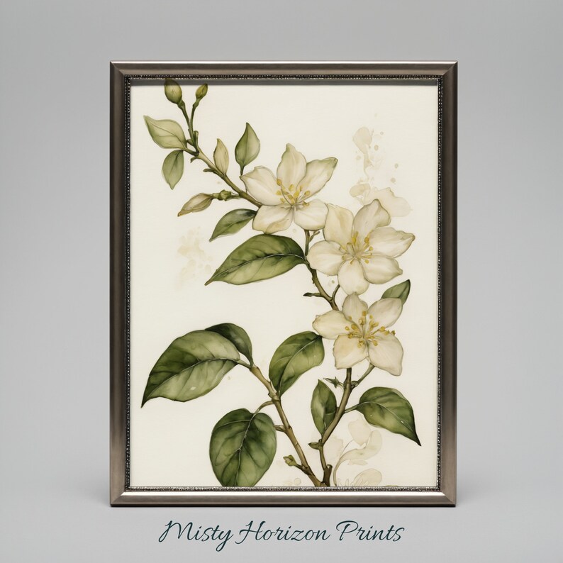 Blooming Jasmine: Vintage Watercolor Elegance. Watercolor Pressed ...