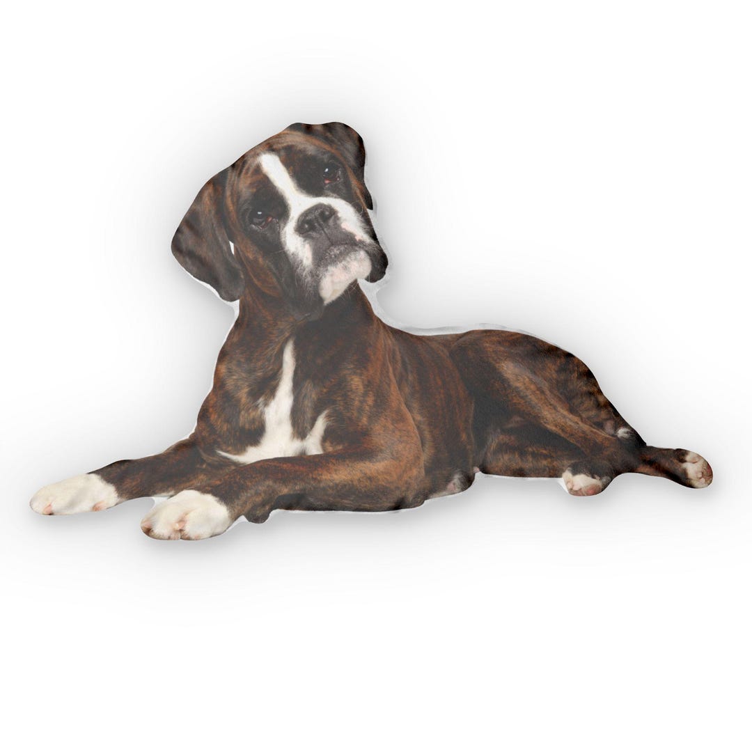 Boxer Custom Shaped Pillow - Etsy