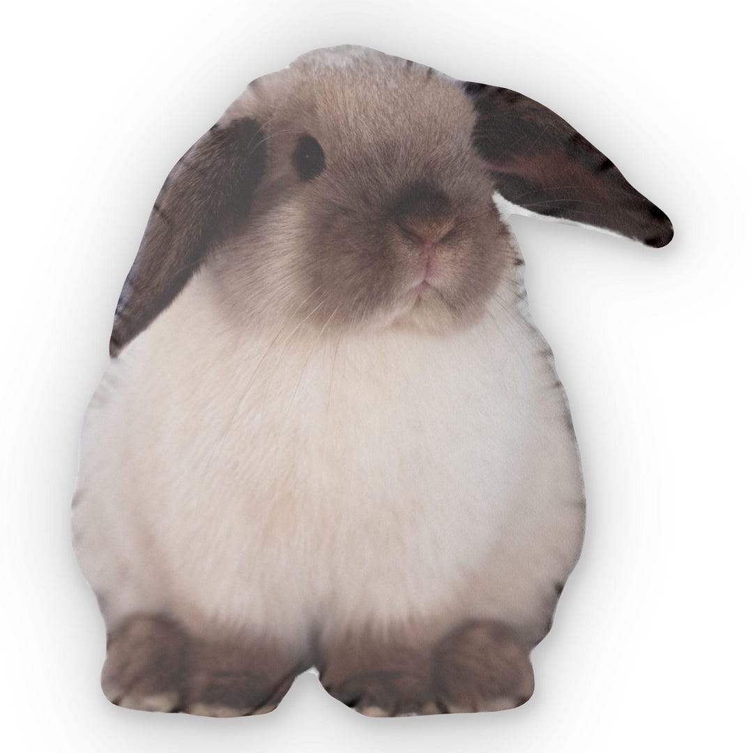 Cute Bunny Custom Shaped Pillow - Etsy