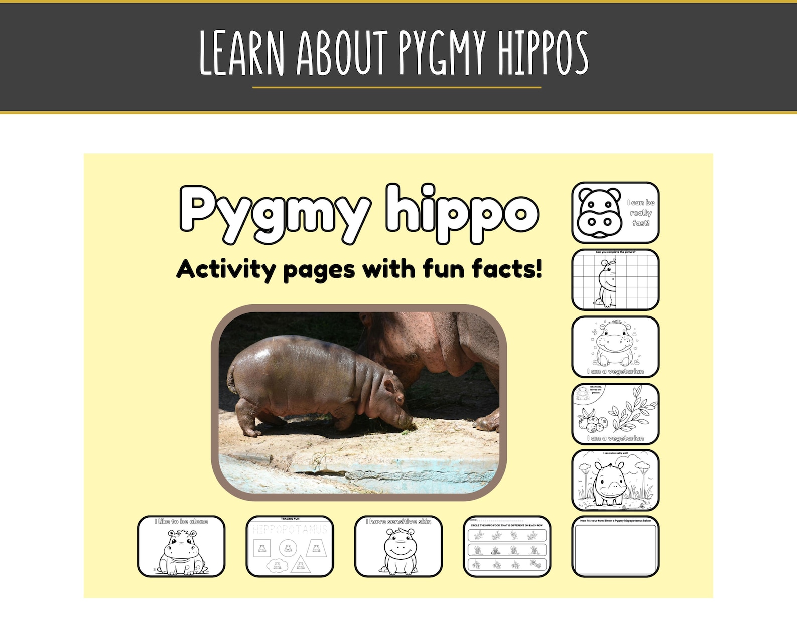 Pygmy Hippo Fun Facts Activity Pages Baby Pygmy Hippo Learn Hippos ...