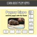 Pygmy Hippo Fun Facts Activity Pages Baby Pygmy Hippo Learn Hippos ...