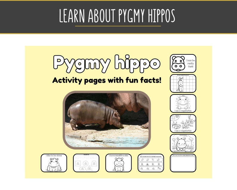 Pygmy Hippo Fun Facts Activity Pages Baby Pygmy Hippo Learn Hippos ...