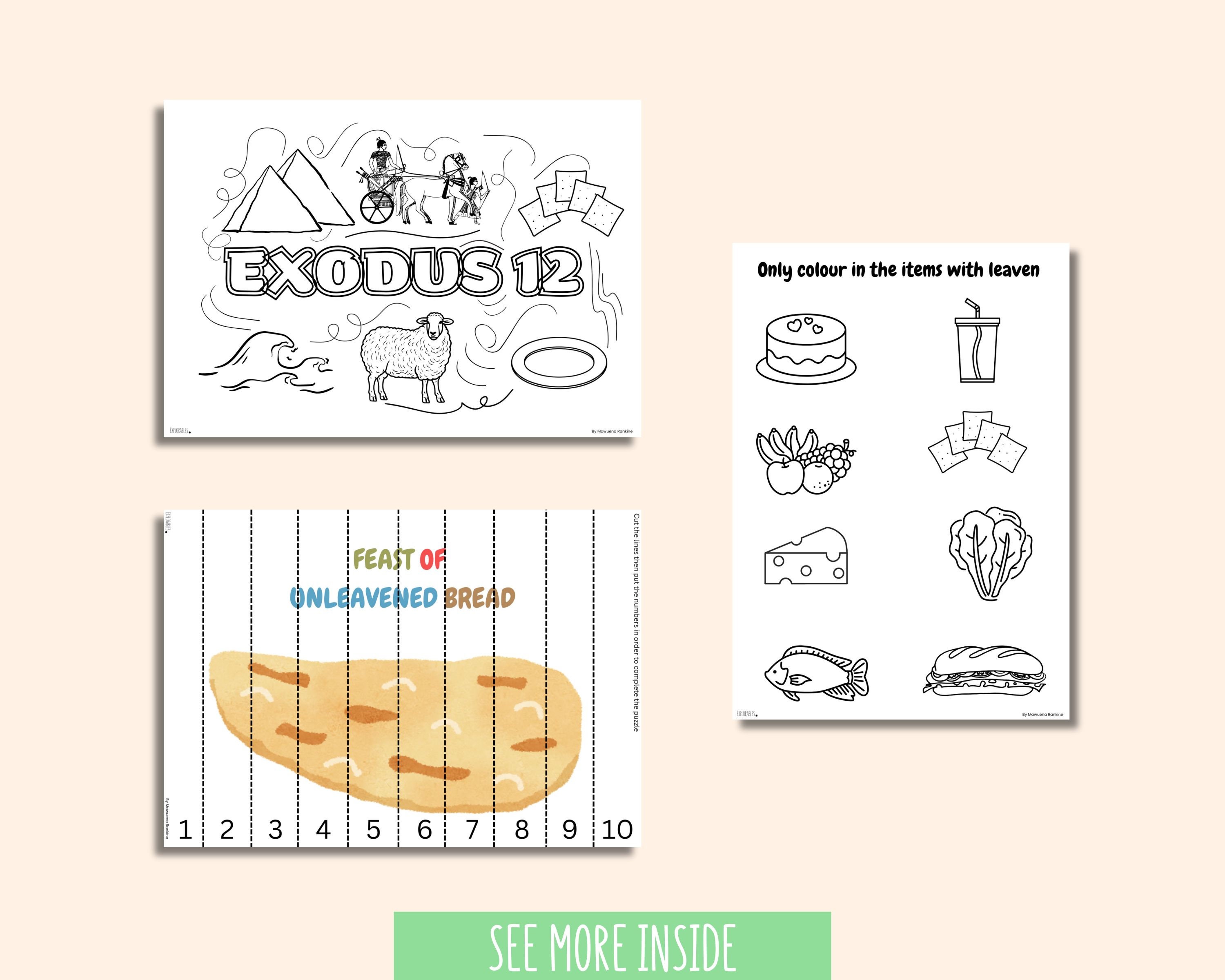 Passover Activity Book for Kids Remove the Leaven Check List Pesach ...