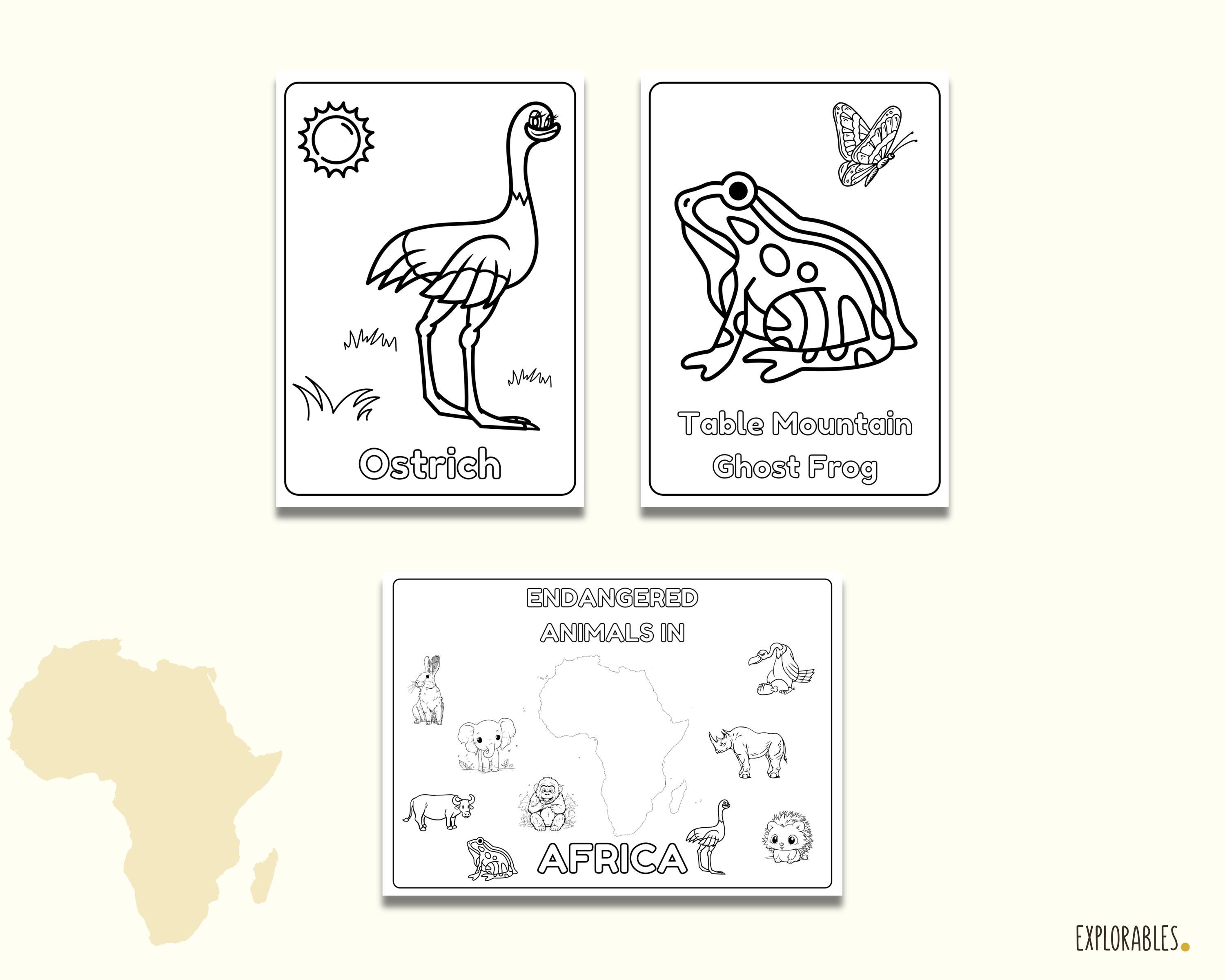 Endangered Animals in Africa Colouring Pages Explore Africa Activity ...