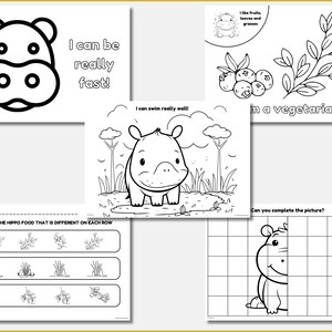 Pygmy Hippo Fun Facts Activity Pages Baby Pygmy Hippo Learn Hippos ...