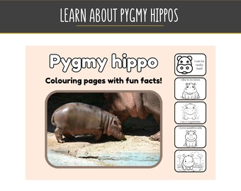 Pygmy Hippo Fun Facts Activity Pages Baby Pygmy Hippo Learn Hippos Vegitarian Diet Fun Activity ...