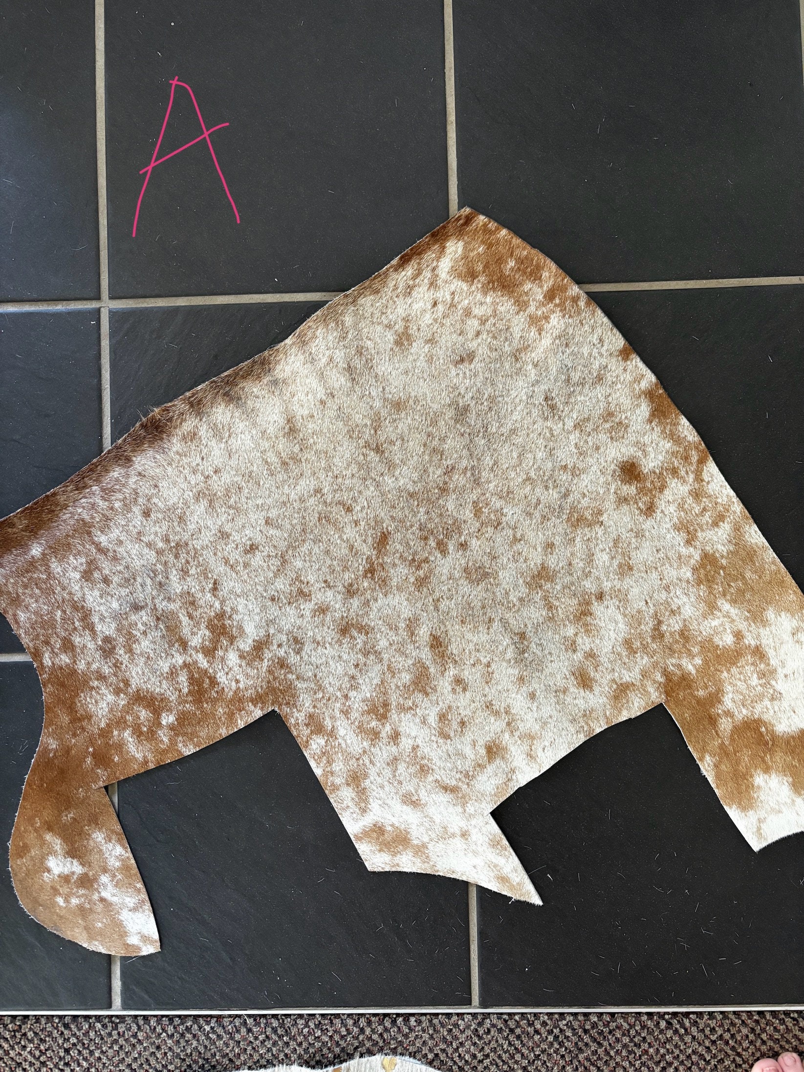Cowhide Wedding Favours for Guests Real Cowhide Coasters Cowhide ...