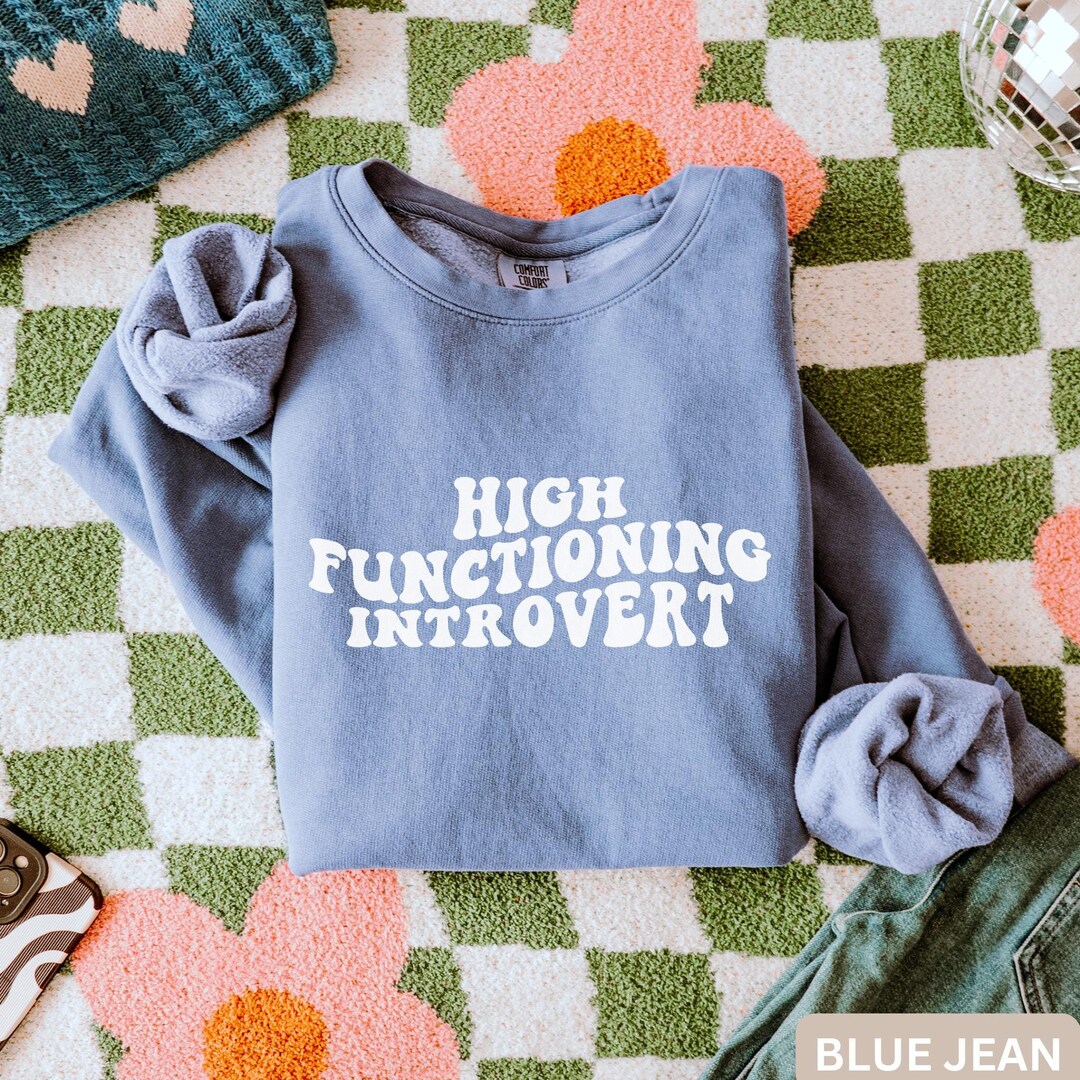 High Functioning Introvert Sweatshirt, Funny Introvert Sweater, Comfort ...