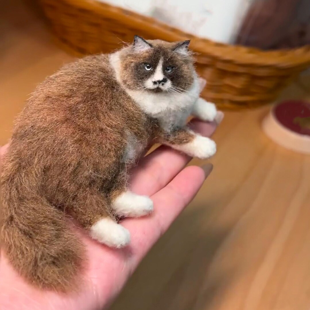Realistic Felted Ragdoll Cat Sculpture – Handmade 3D Wool Pet Portrait ...