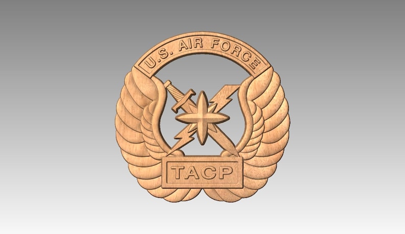 USAF Tactical Air Control Party (TACP) INSIGNIA 3D Model - Etsy