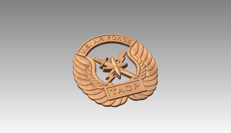 USAF Tactical Air Control Party (TACP) INSIGNIA 3D Model - Etsy